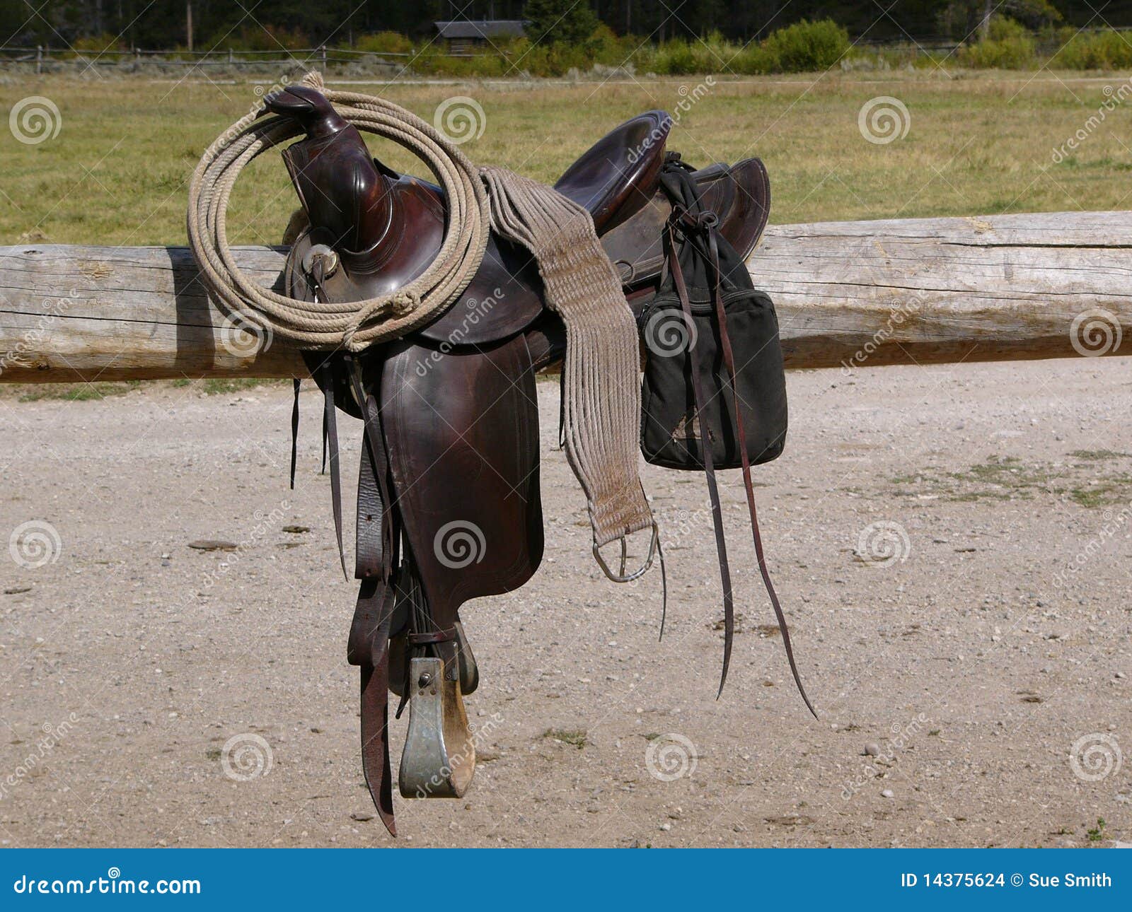 Western Saddle stock photo. Image of rope, saddles, cinch - 14375624