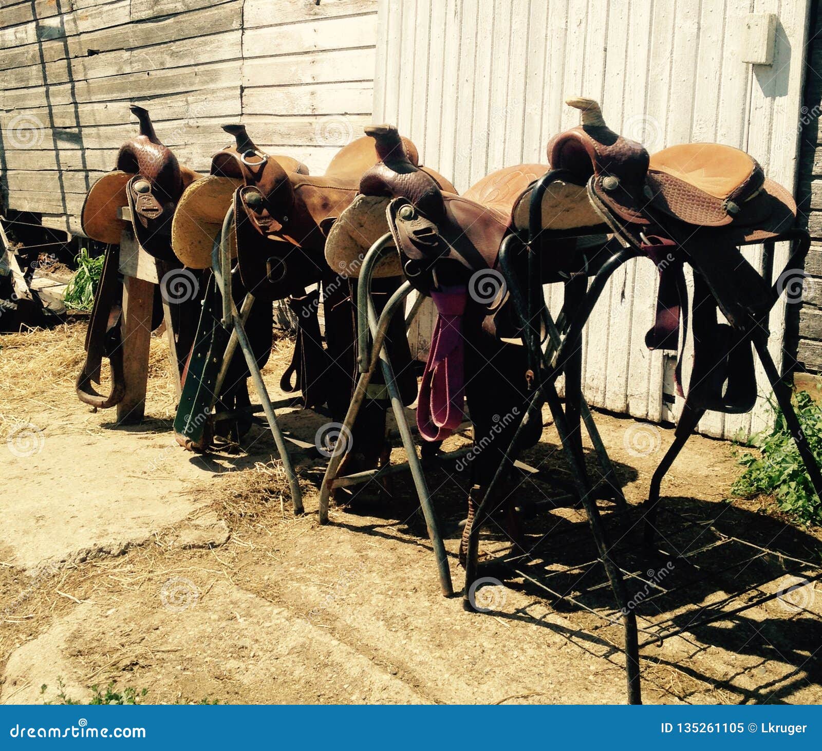 Western Saddles stock image. Image of mounted, craftsmanship - 135261105