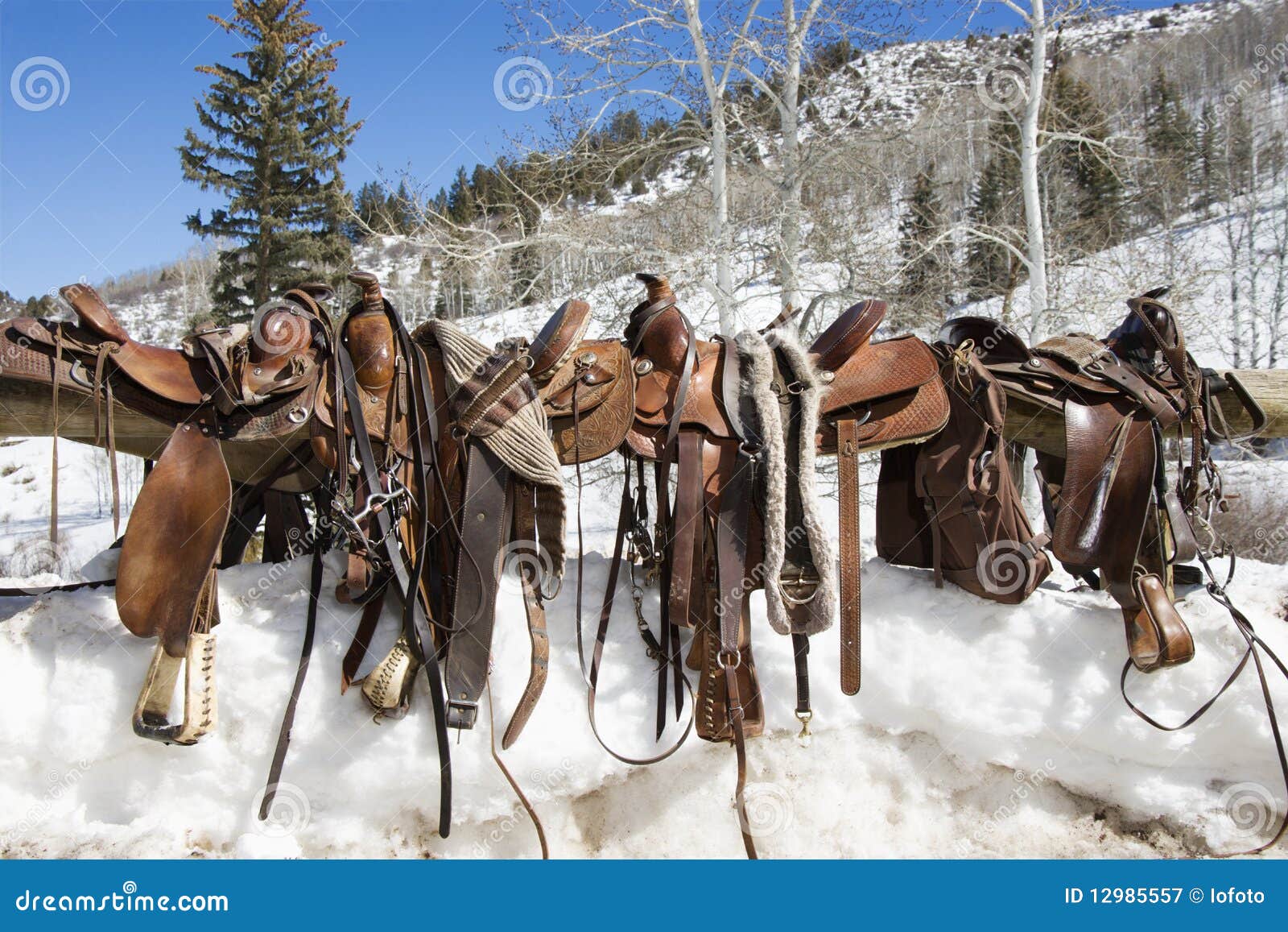 Western Saddles on a Rail stock image. Image of riding - 12985557