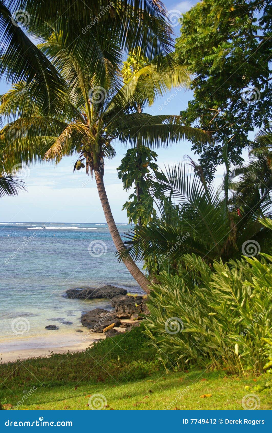 Western Samoa beachscape stock photo. Image of paradise - 7749412