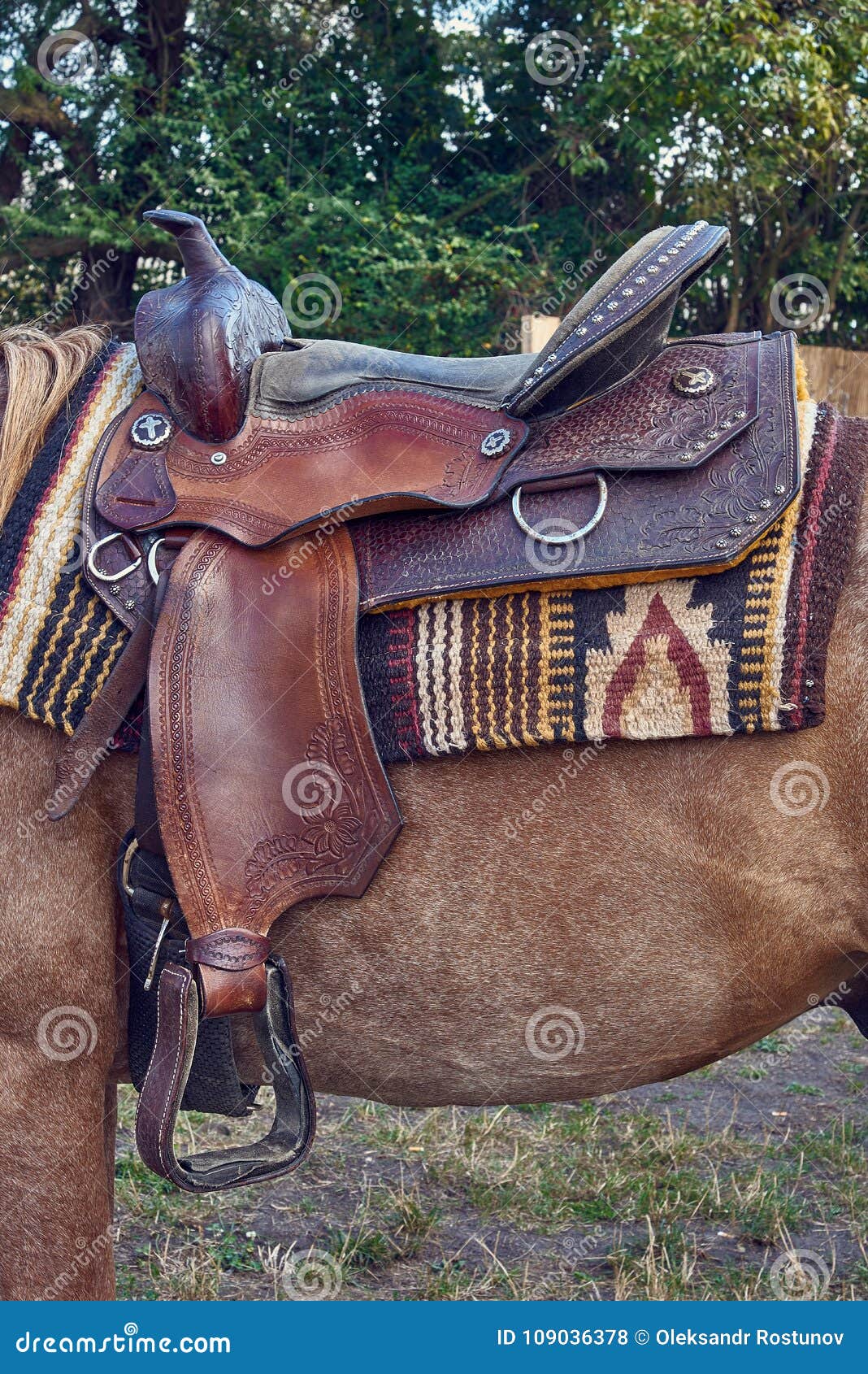Western-Sattel Für Ein Pferd Stockfoto - Bild von pferd, sattel: 109036378