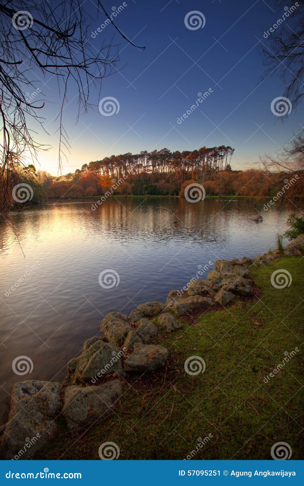 Western Spring Auckland stock image. Image of westernspring - 57095251