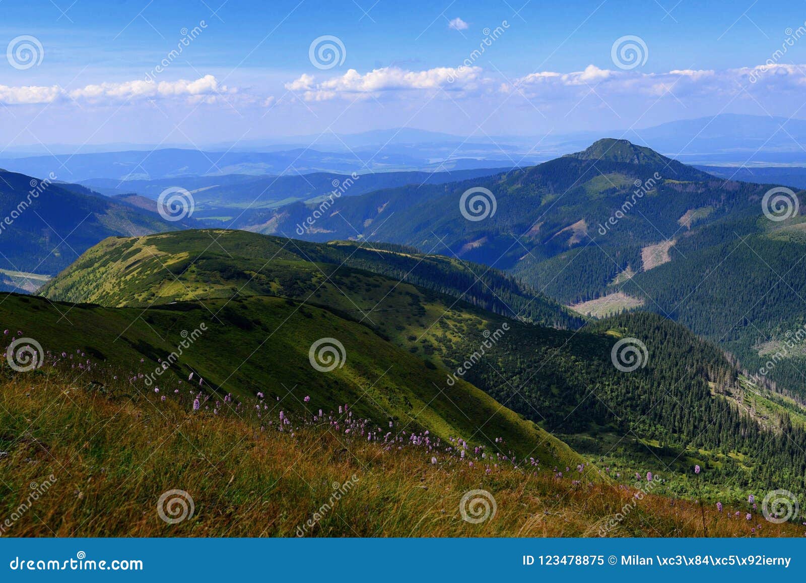 Western Tatras National Park Stock Image - Image of peak, pine: 123478875