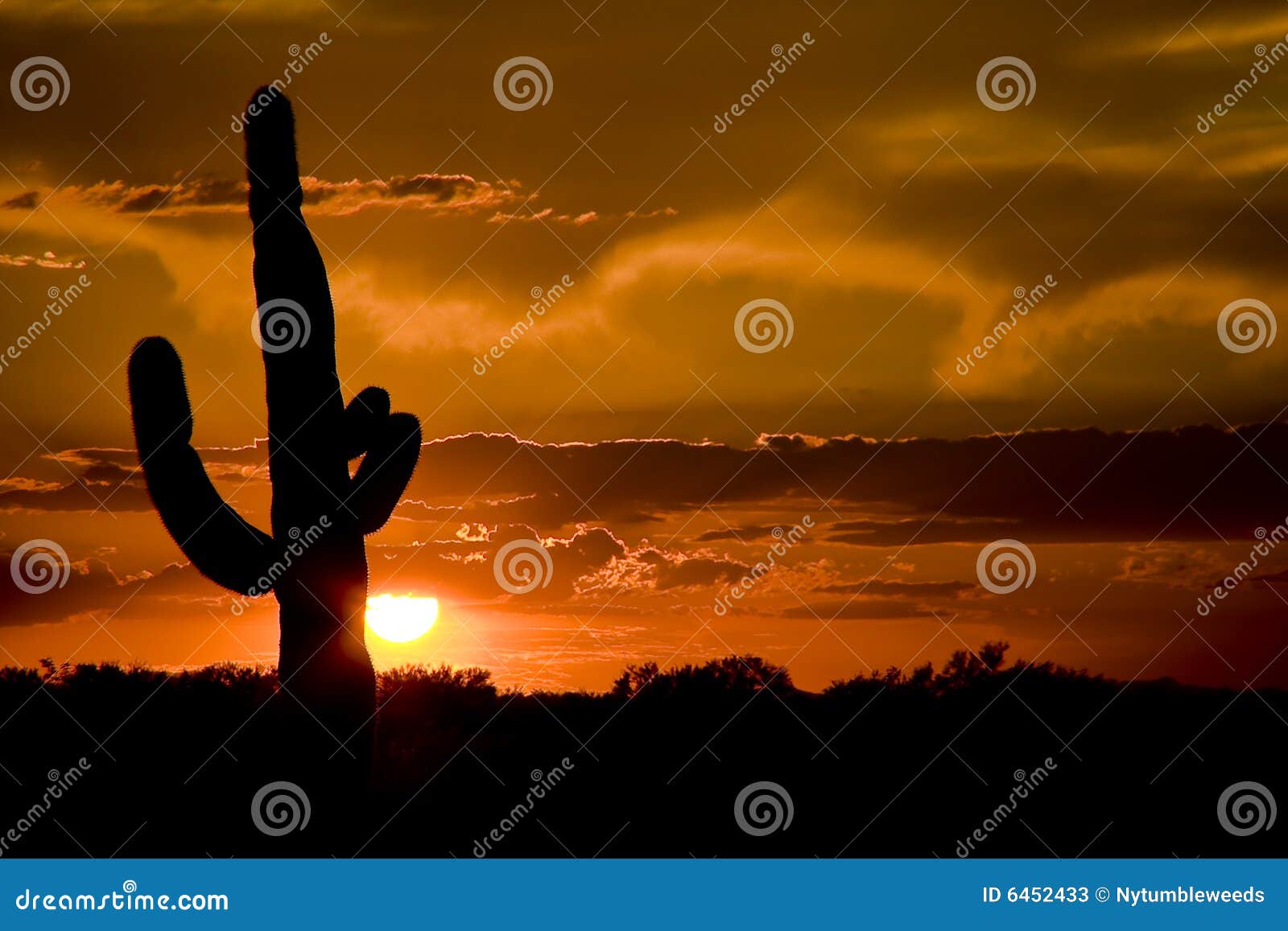 Western USA Sunset stock image. Image of cacti, clouds - 6452433