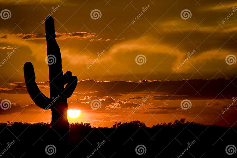 Western USA Sunset stock image. Image of cacti, clouds - 6452433