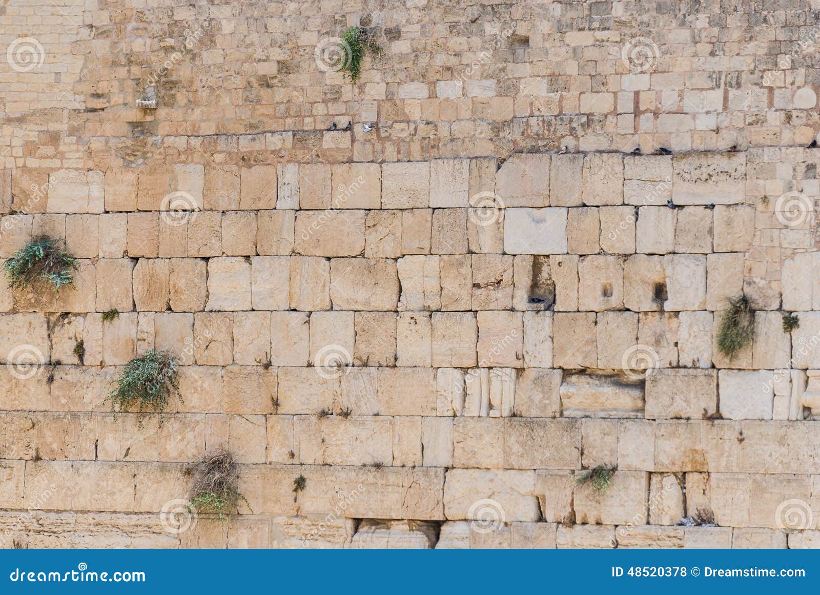 Western Wall, Jerusalem stock photo. Image of wall, jerusalem - 48520378