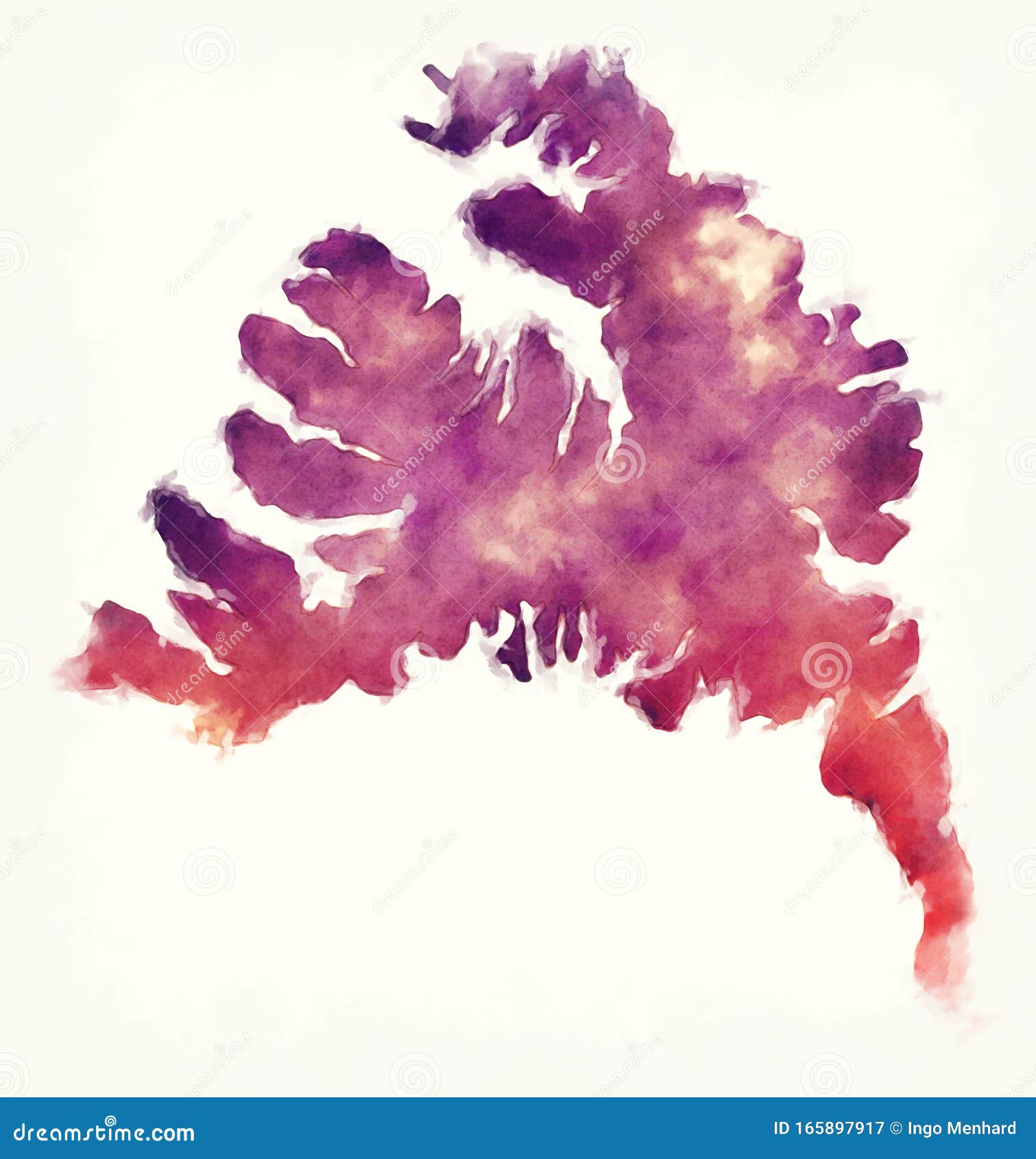 Westfjords Region Iceland Island, Regions Of Iceland Map Vector ...