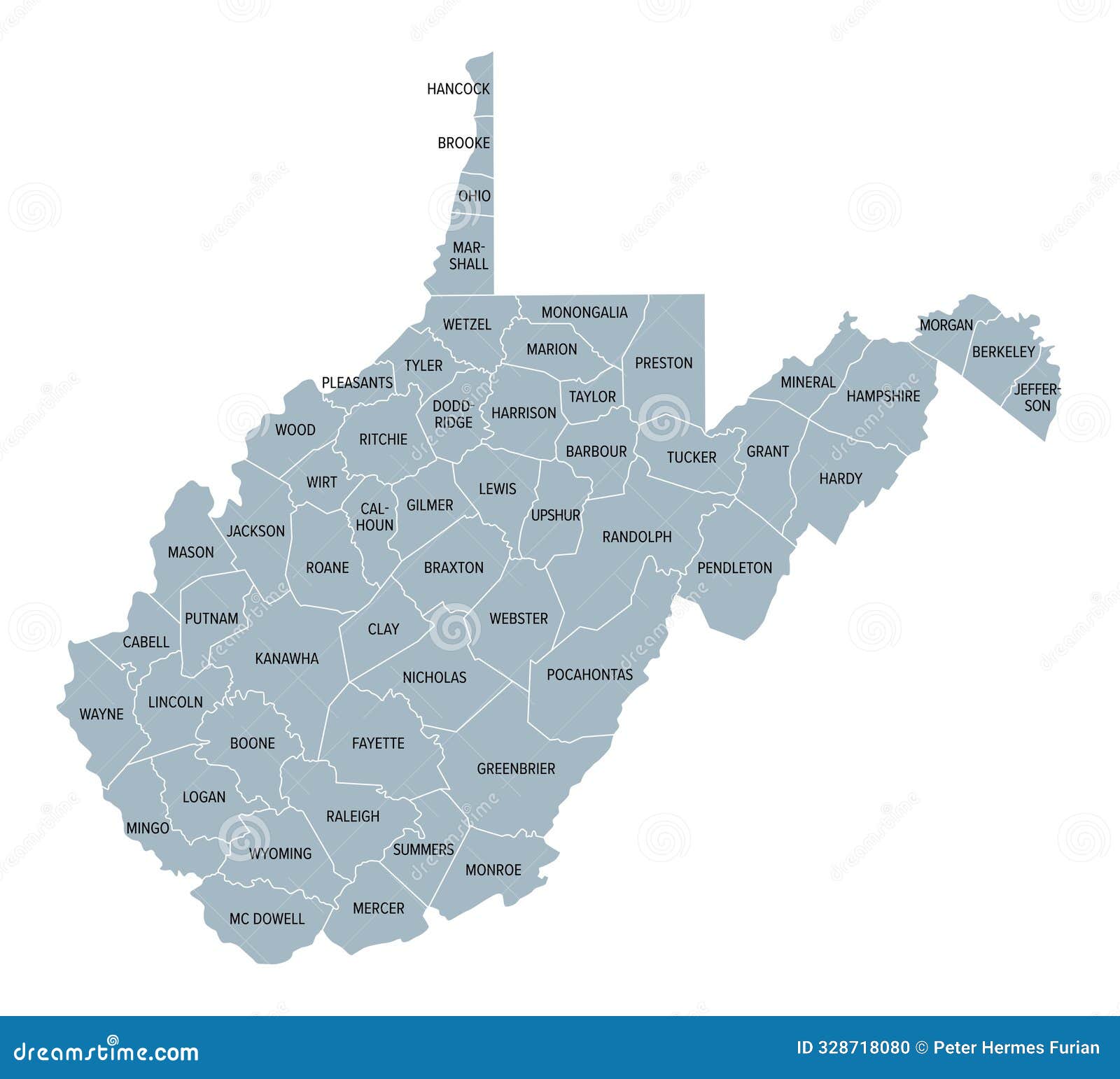 West Virginia, U.S. State with 55 Counties, Gray Political Map Stock ...