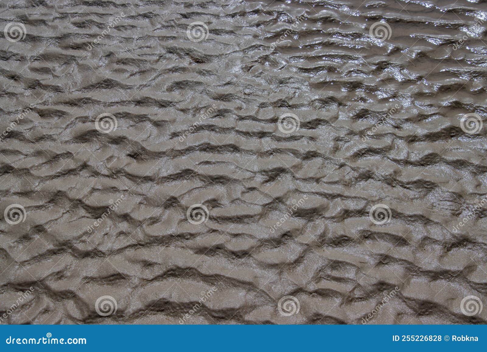 Wet Abstract Sand Pattern for Background Stock Photo - Image of rough ...