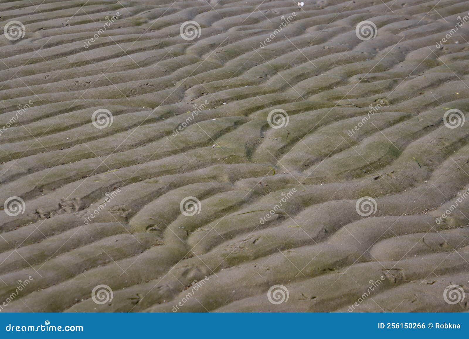 Wet Abstract Sand Pattern for Background Stock Photo - Image of ripple ...