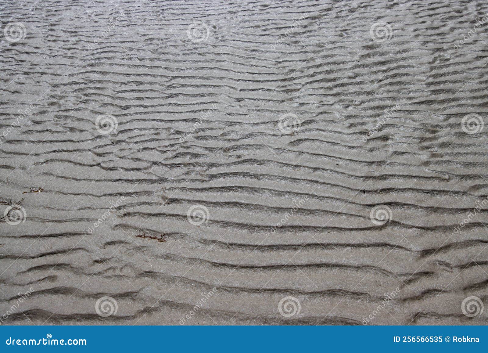 Wet Abstract Sand Pattern for Background Stock Image - Image of space ...