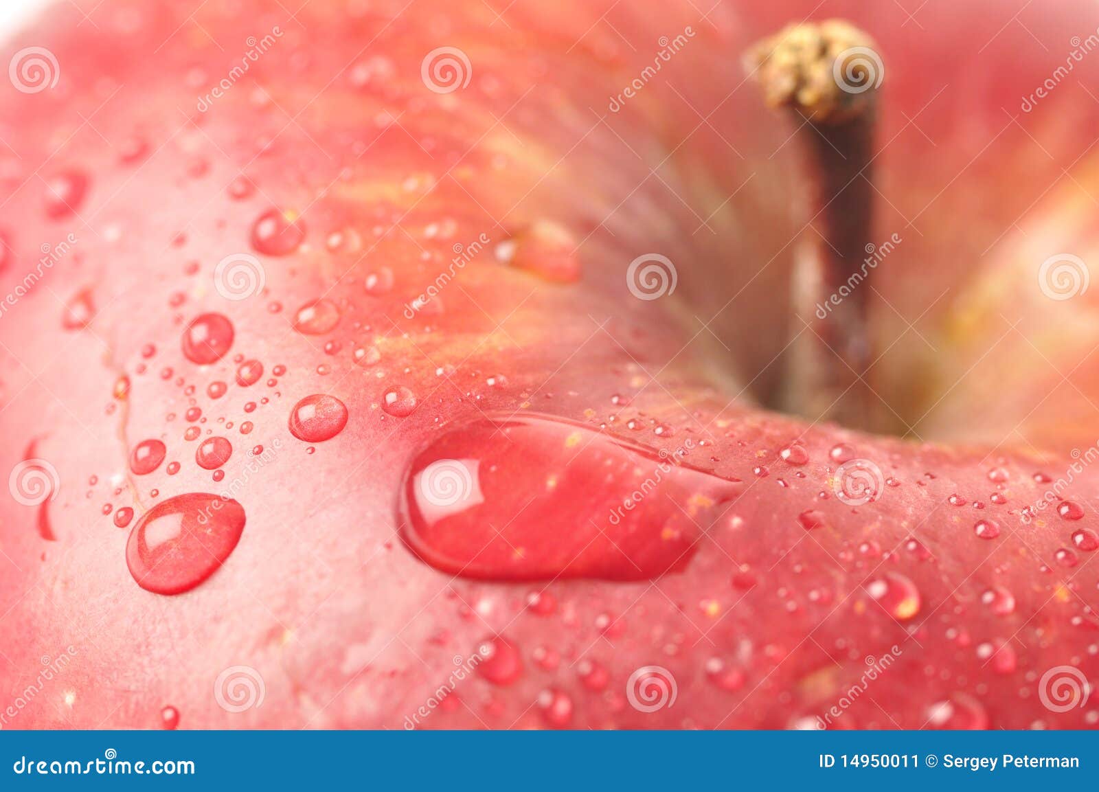 Wet apple closeup stock image. Image of food, isolated - 14950011