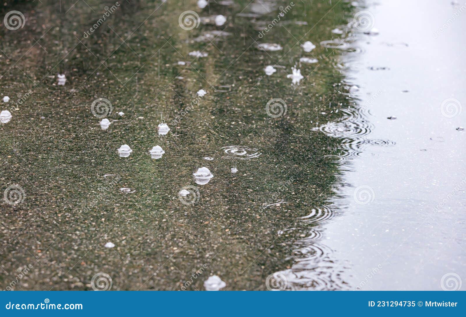 Wet Asphalt Background with Raindrops Splashes Stock Image - Image of ...