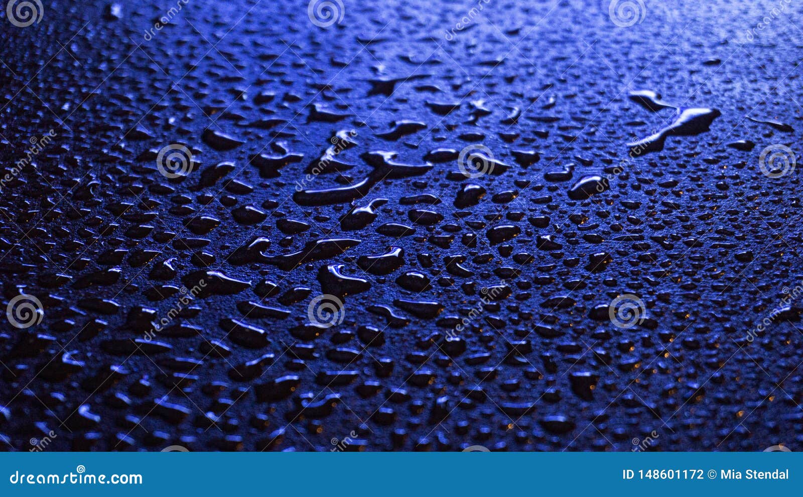 Wet Asphalt, Night Scene of an Empty Street with a Little Reflection in ... Wet Asphalt, Night Scene of an Empty Street with a Little Reflection in ...