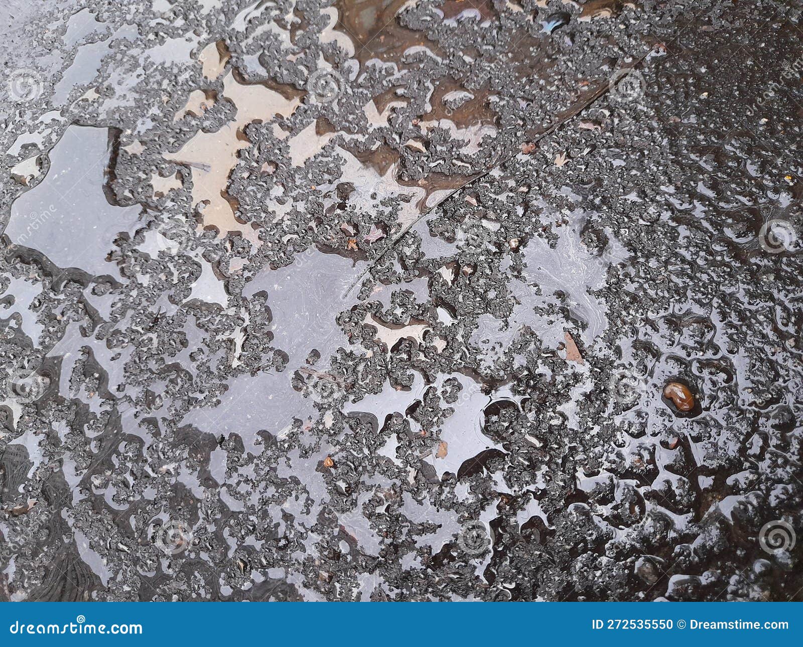 Wet Asphalt. Oil Stains and Drops on the Pavement Stock Photo - Image ...