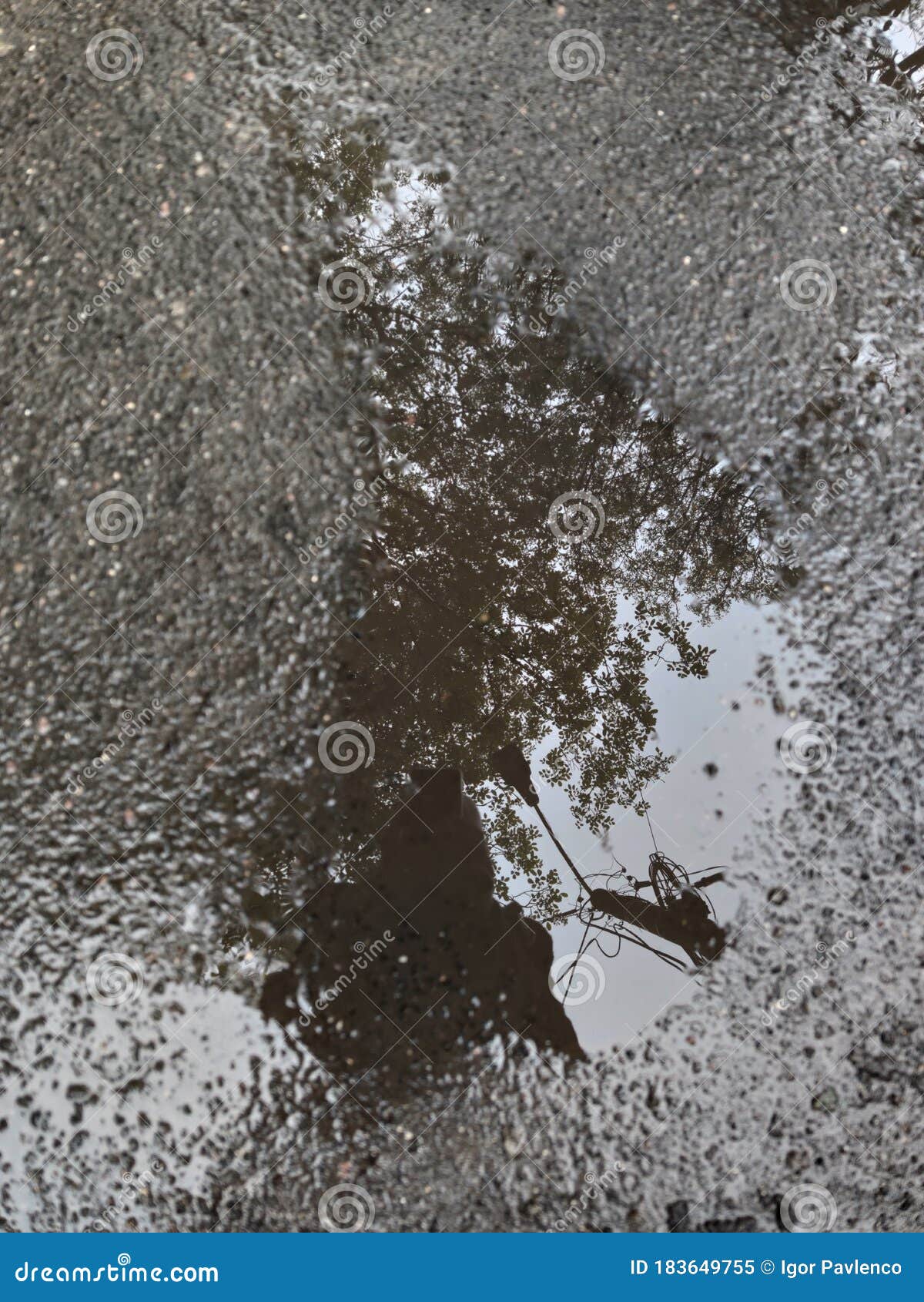 Wet Asphalt and Puddle with Reflection Stock Image - Image of column ...