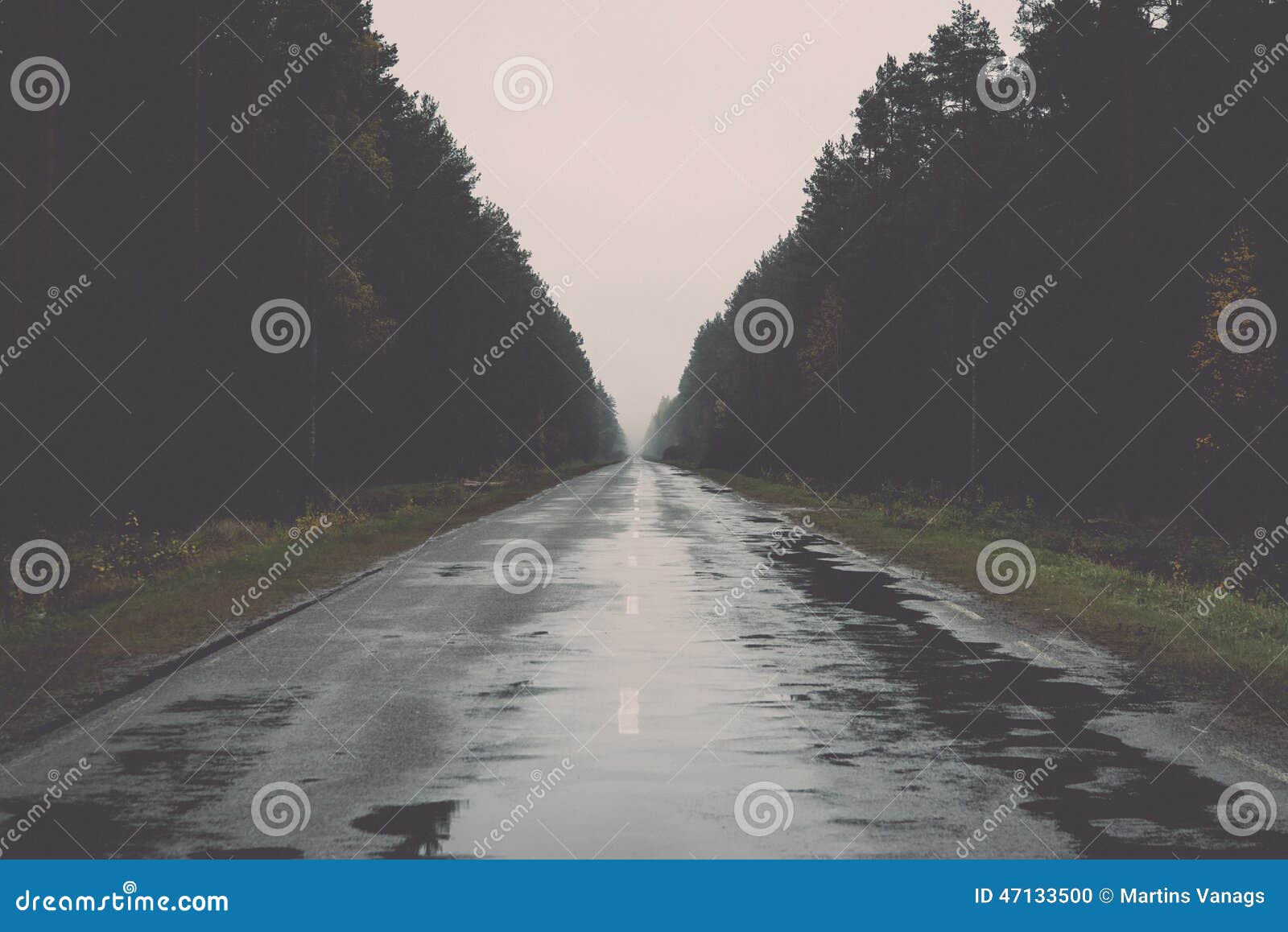 Wet Asphalt Road with Sun Reflections Stock Photo - Image of sunbeam ...