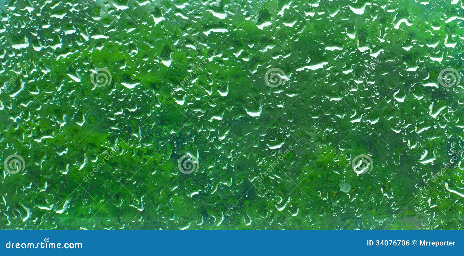 Wet background stock photo. Image of texture, chlorofill - 34076706