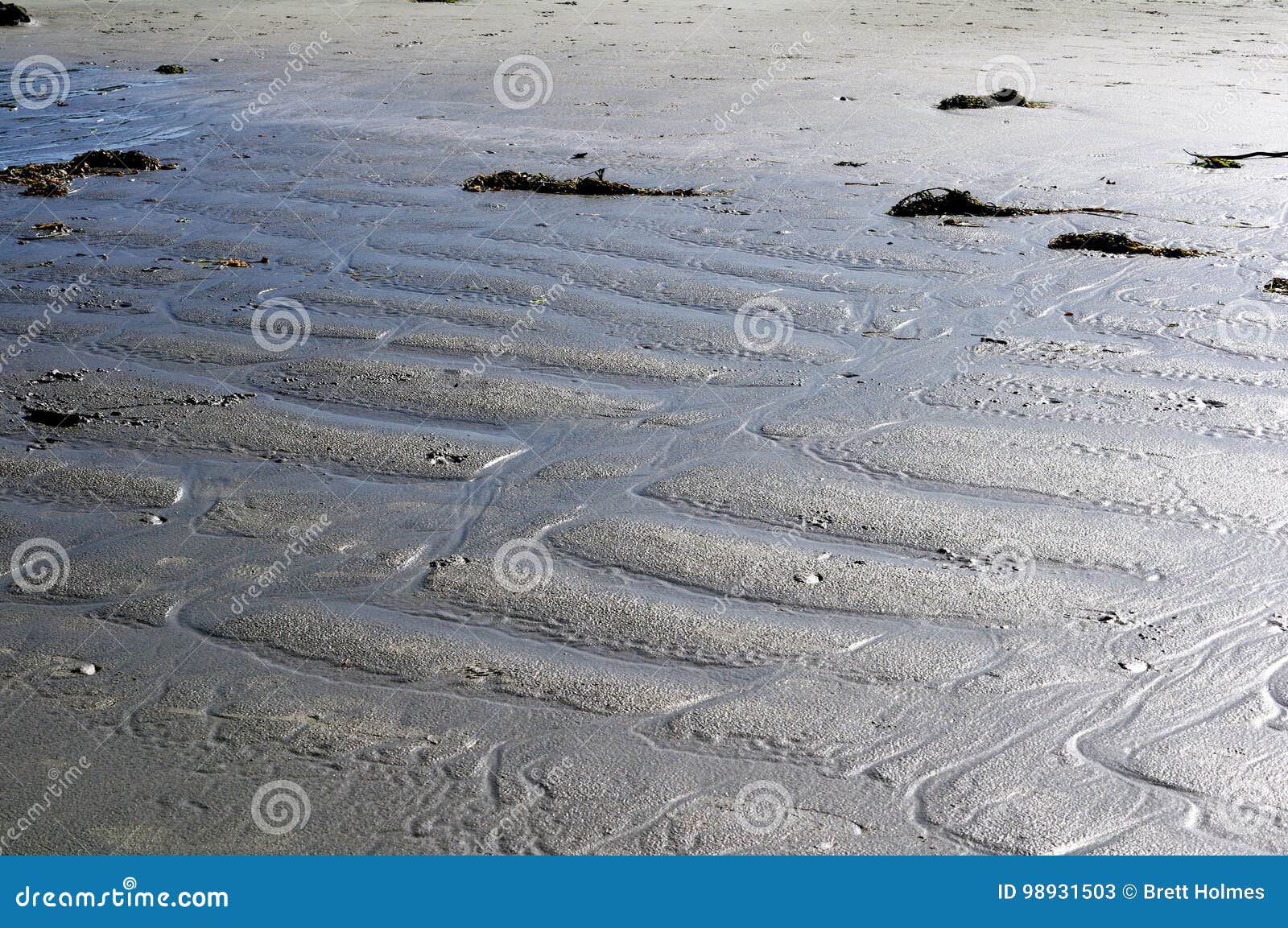 Beach Patterns, Background. Royalty-Free Stock Photo | CartoonDealer ...
