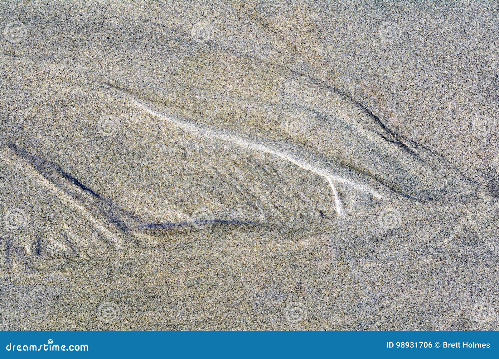 Wet Beach Patterns in Sand by Pacific Ocean Stock Photo - Image of ...