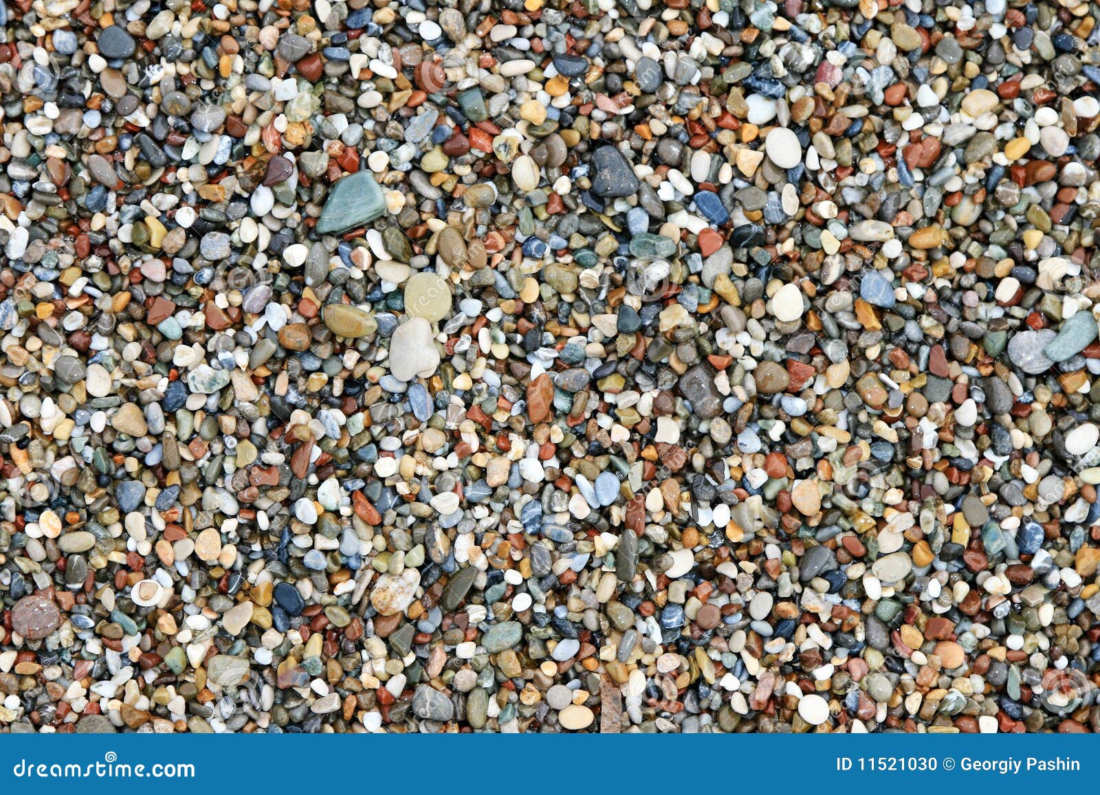Wet Beach Pebbles stock photo. Image of coastline, nature - 11521030