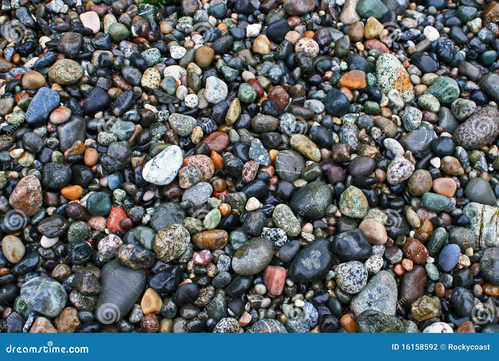 Wet beach rocks stock photo. Image of pacific, white - 16158592
