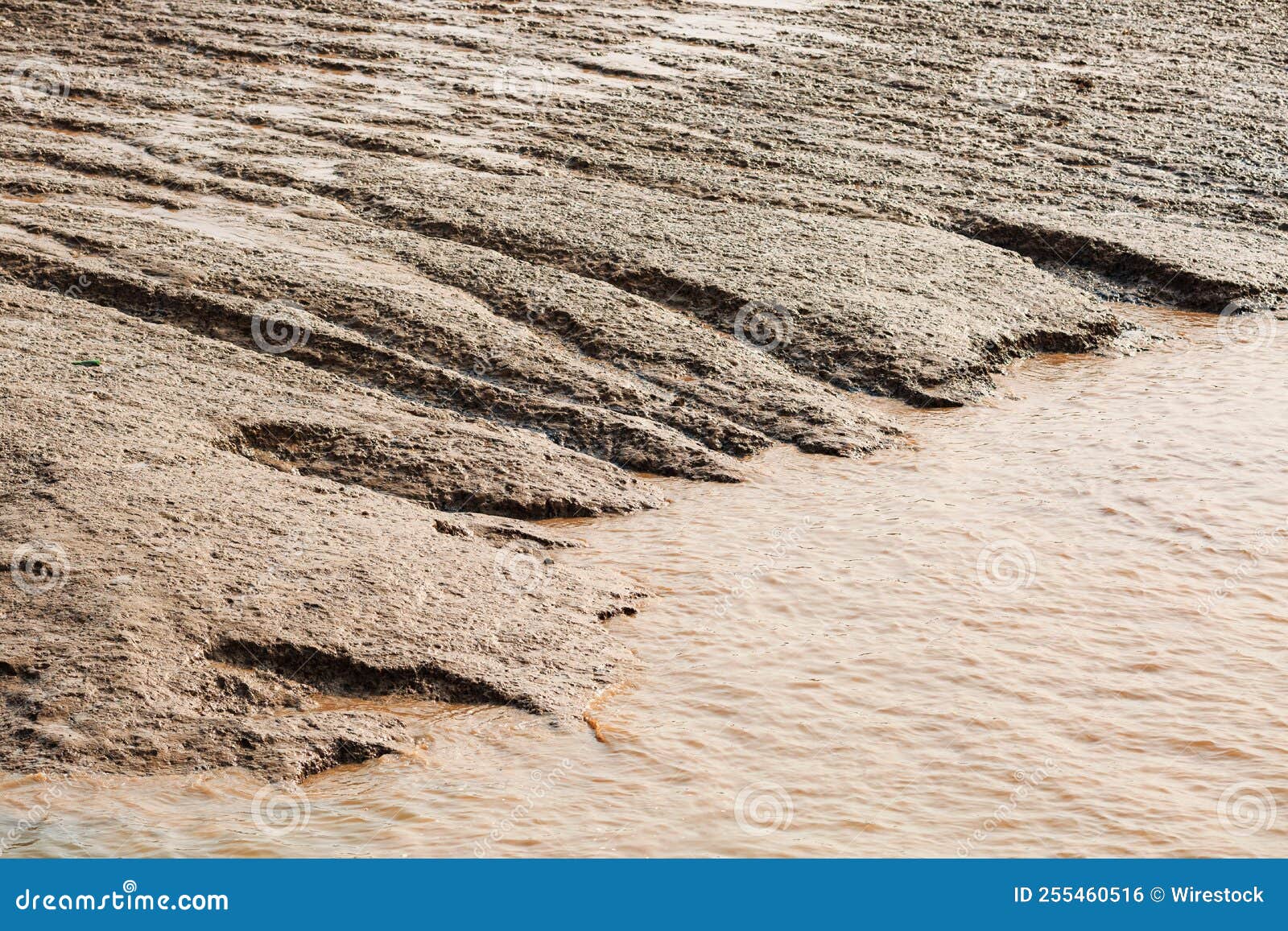 Wet Beach Sand Texture in a Grey-brown Color Stock Photo - Image of ...