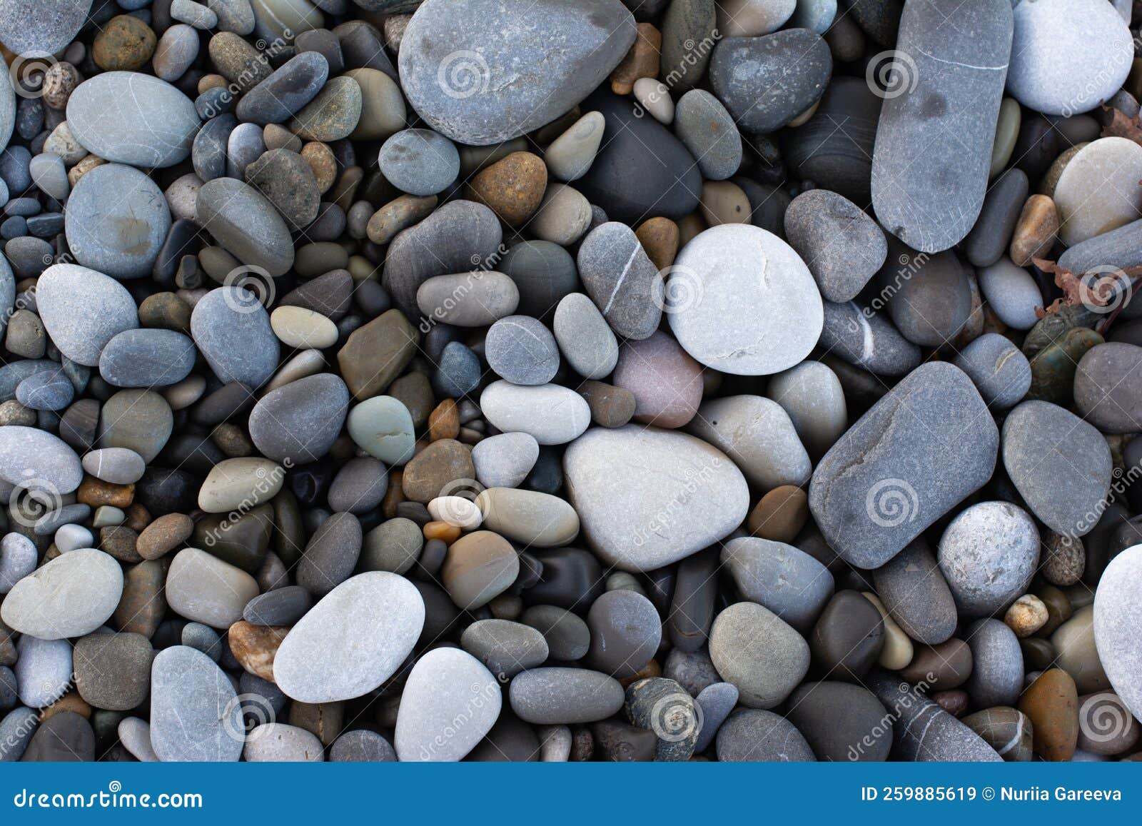 Wet Beautiful Round Pebble Stones. Top View Stock Image - Image of ...