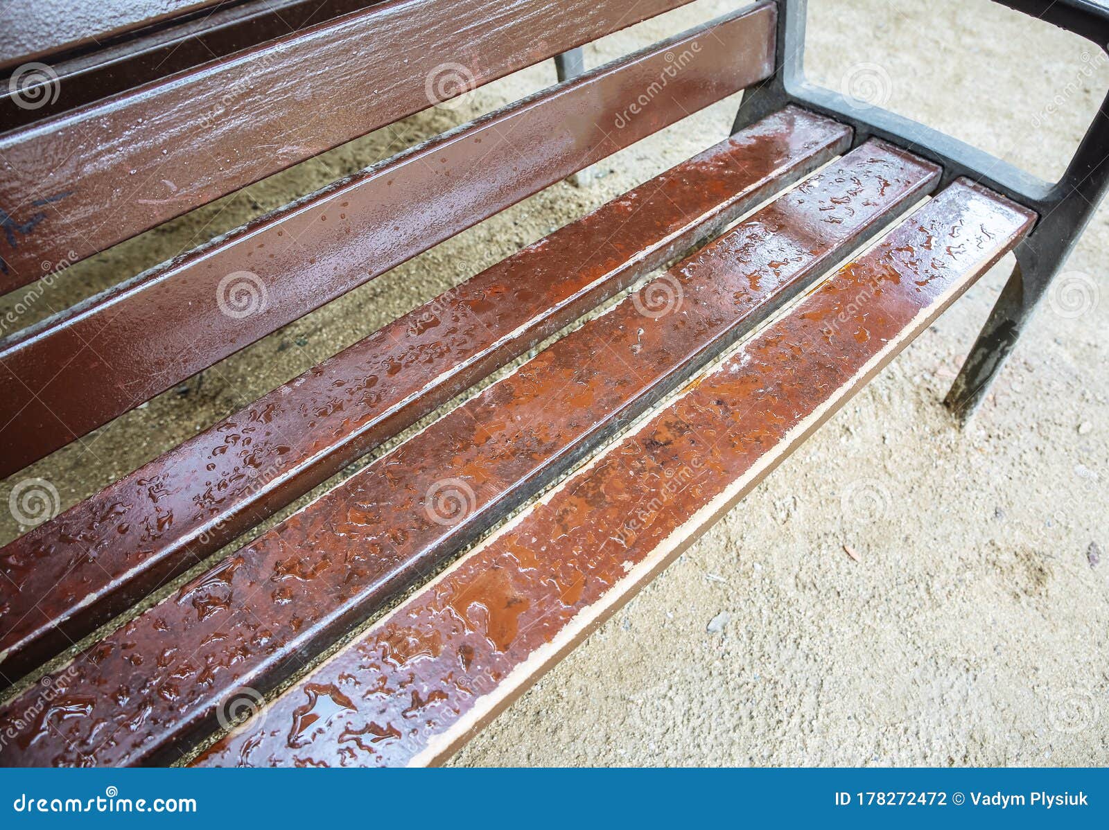 Wet Bench after Rain Standing in the Park Editorial Photography - Image ...