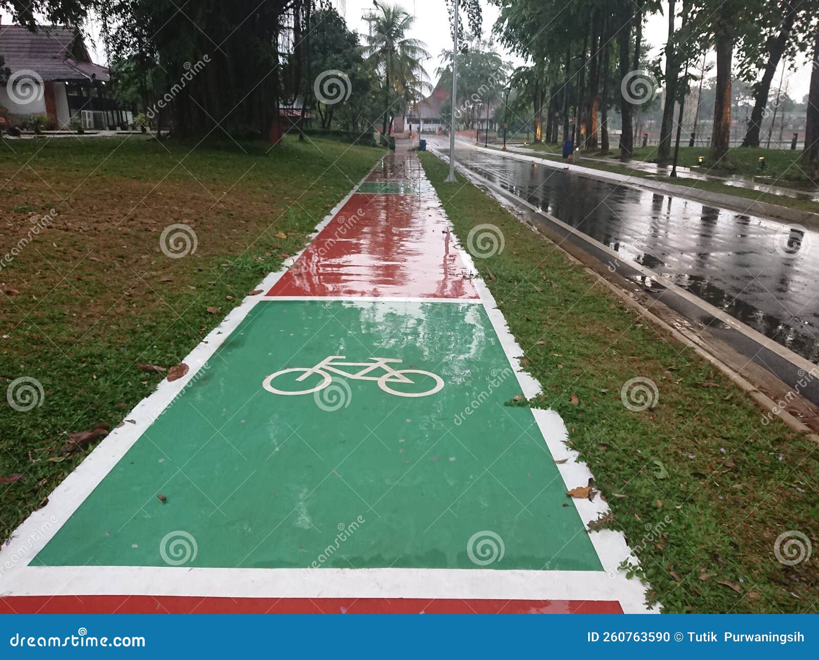 Wet Bicycle Track after Rain in the Evening Stock Photo - Image of ...
