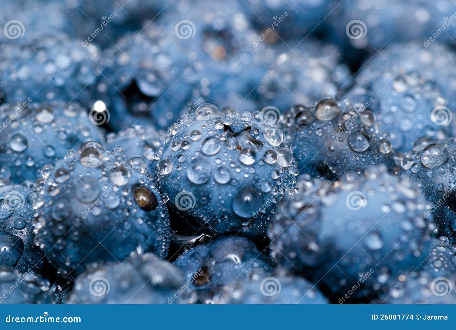 Wet blueberries close up stock photo. Image of frame - 26081774