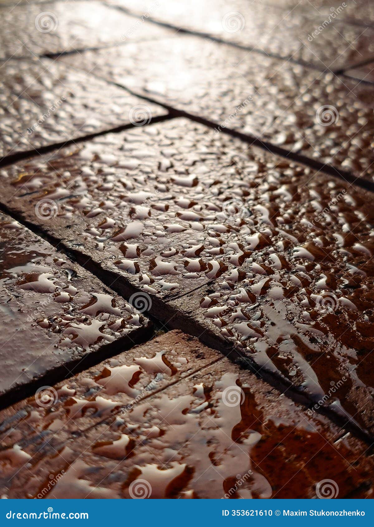 Wet Brick Pavement with Water Droplets, Highlighting the Texture ...