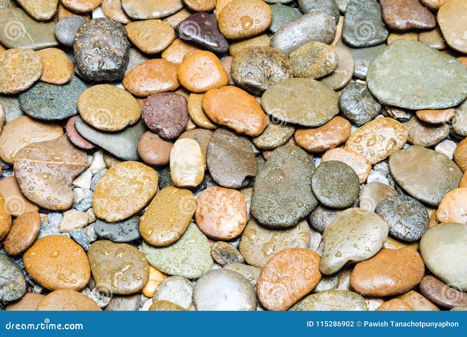 Wet Brown Pebbles Stone Texture on the Ground in Bathroom. Stock Photo ...