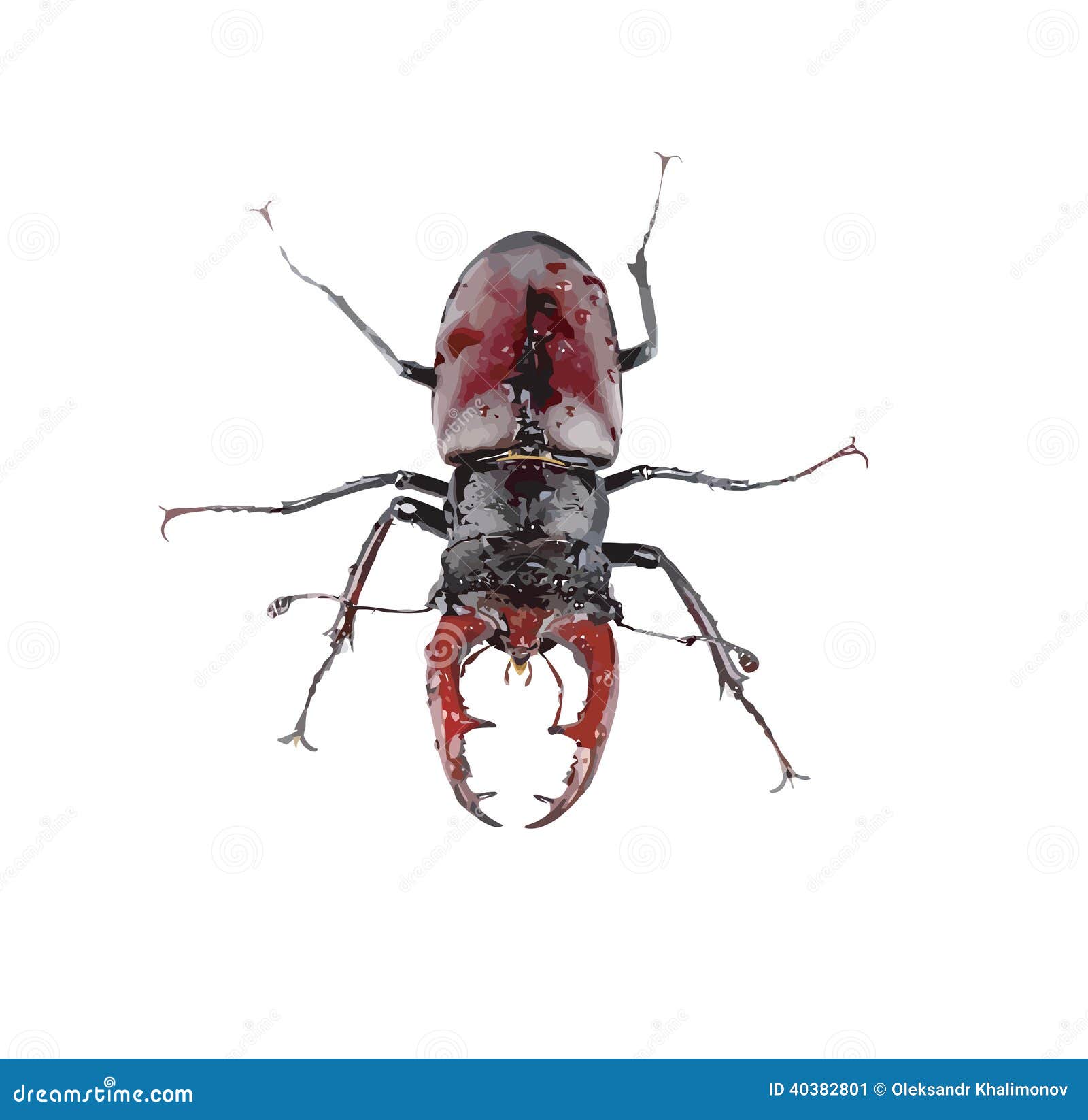 Wet Brown Stag Beetle Royalty-Free Stock Photography | CartoonDealer ...