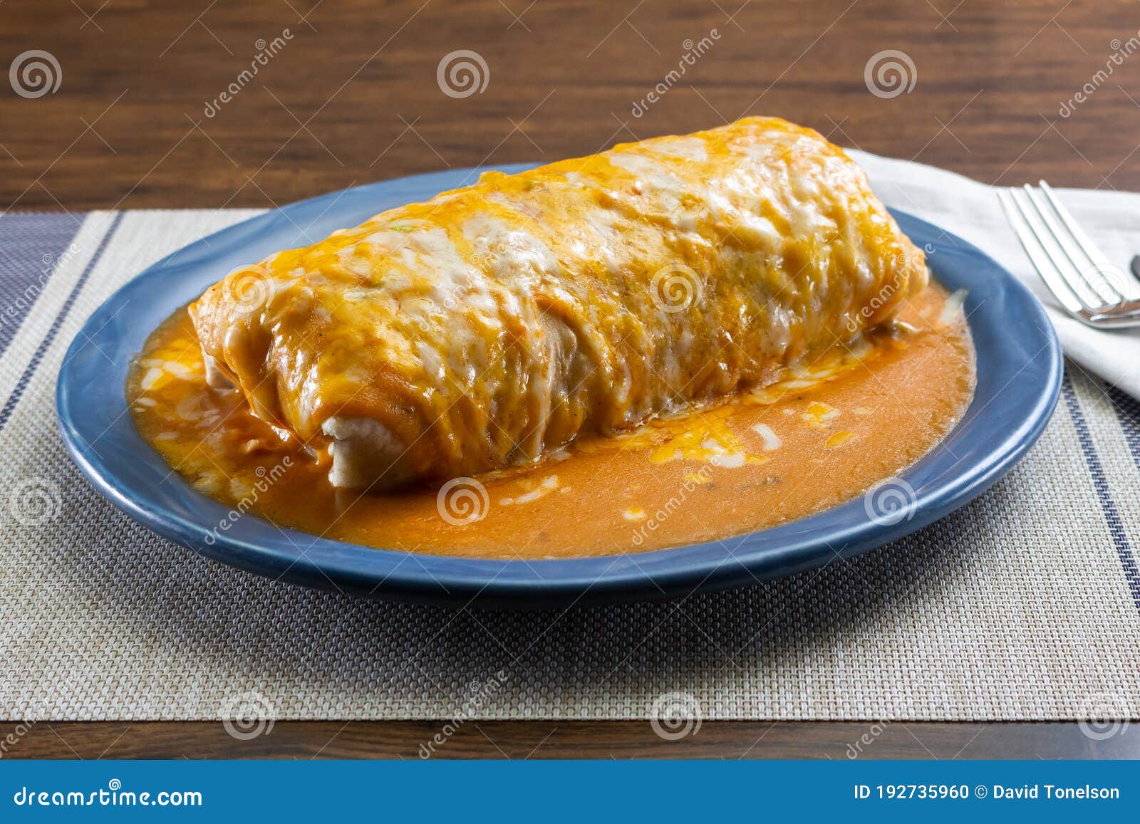 Wet burrito plate stock photo. Image of lifestyle, fork - 192735960
