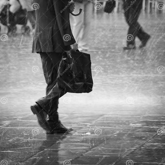 Wet business stock photo. Image of businessman, soak - 13137604