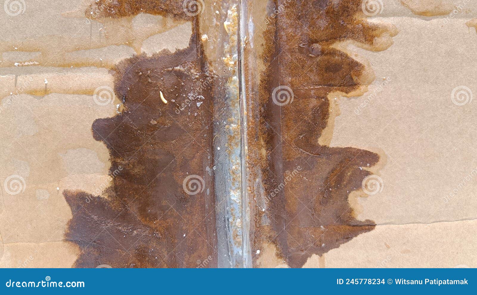 Wet Cardboard Boxes for a Long Time, the Accumulation of Germs. Causing ...