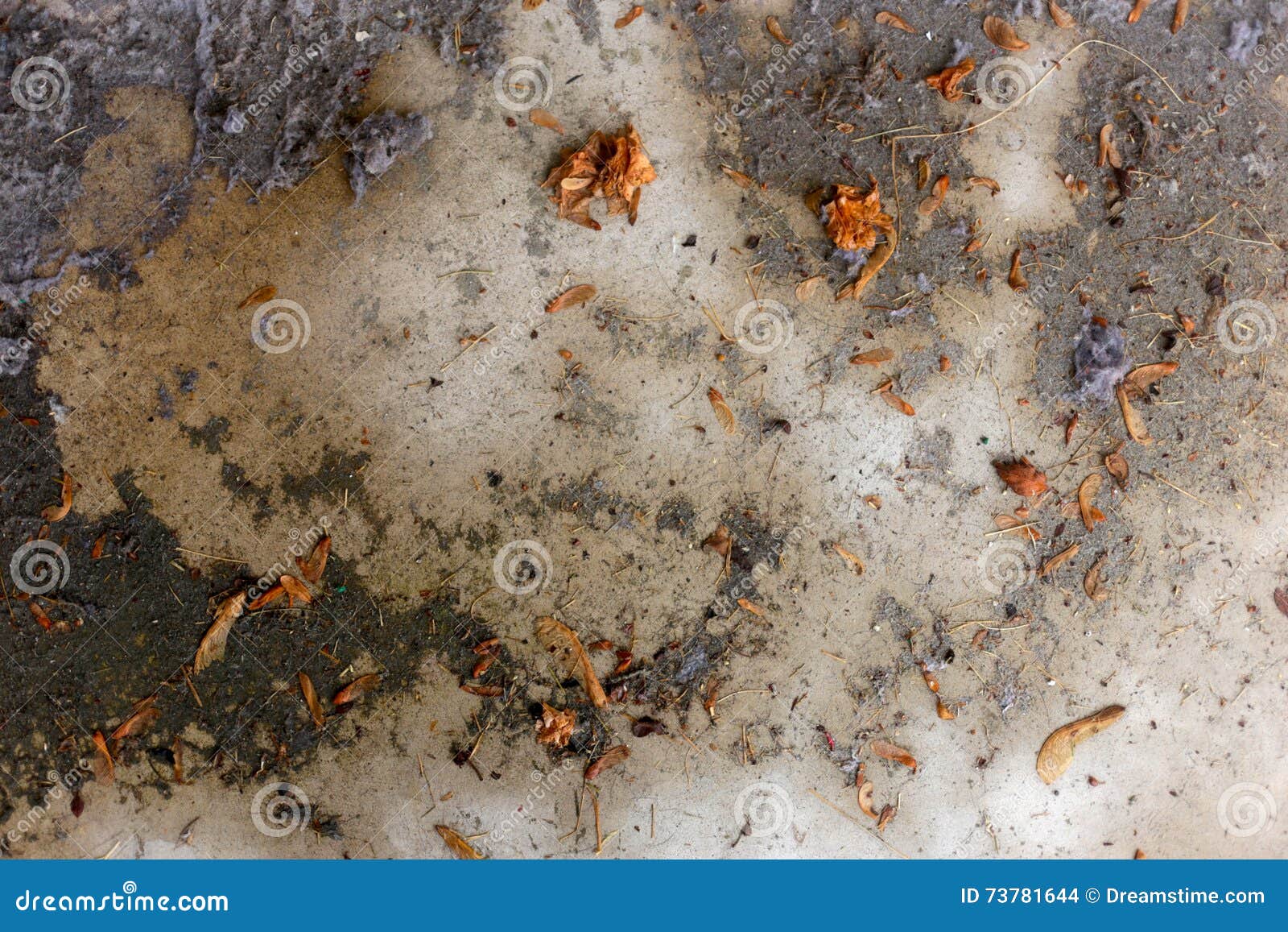 571 Algae Rust Stock Photos - Free & Royalty-Free Stock Photos from ...