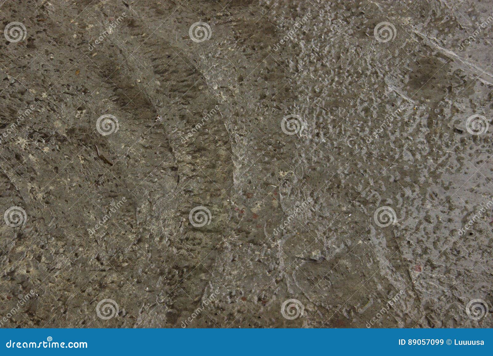 Wet Cement Texture for Background. Wet Concrete Floor Stock Image ...