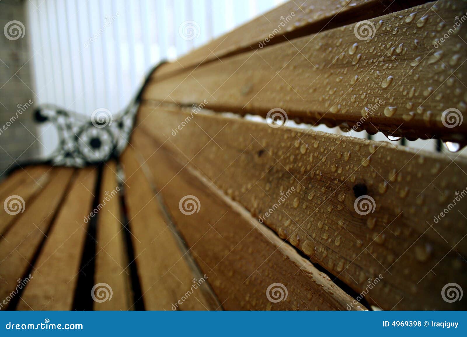 Wet Chair Picture. Image: 4969398