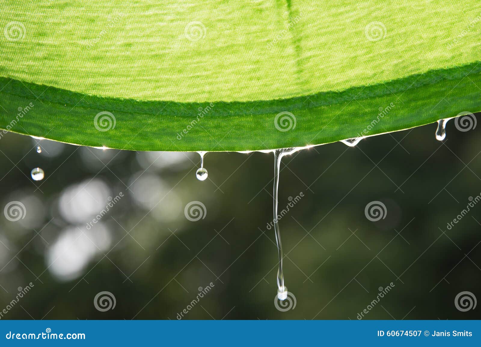 Wet cloth. stock image. Image of fresh, laundry, drop - 60674507