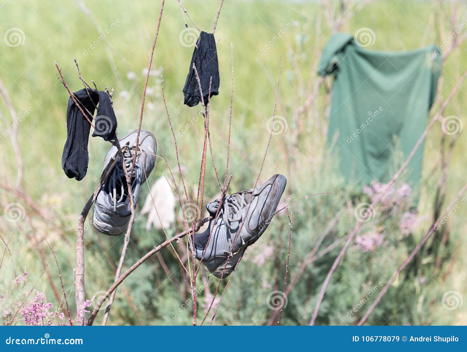 Wet Clothes To Dry on the Branches Stock Image - Image of drying ...