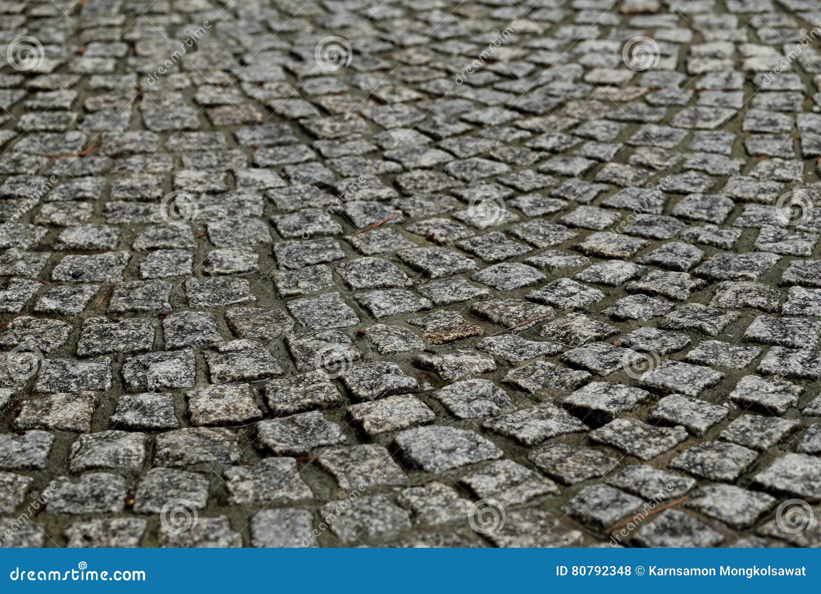 Wet Cobblestone Pavement after the Rain Stock Photo - Image of closeup ...