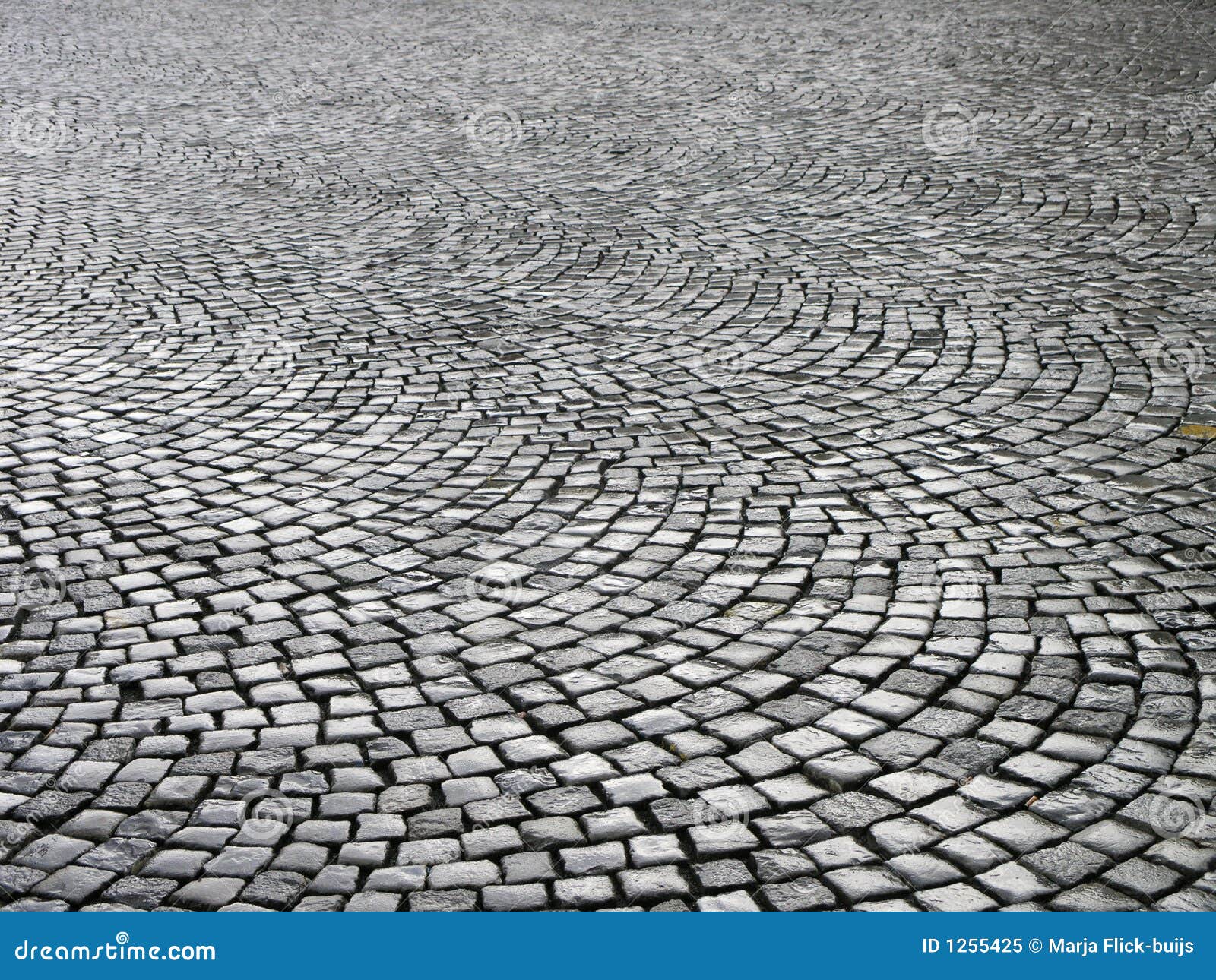 Wet cobblestones stock image. Image of urban, rain, dark - 1255425
