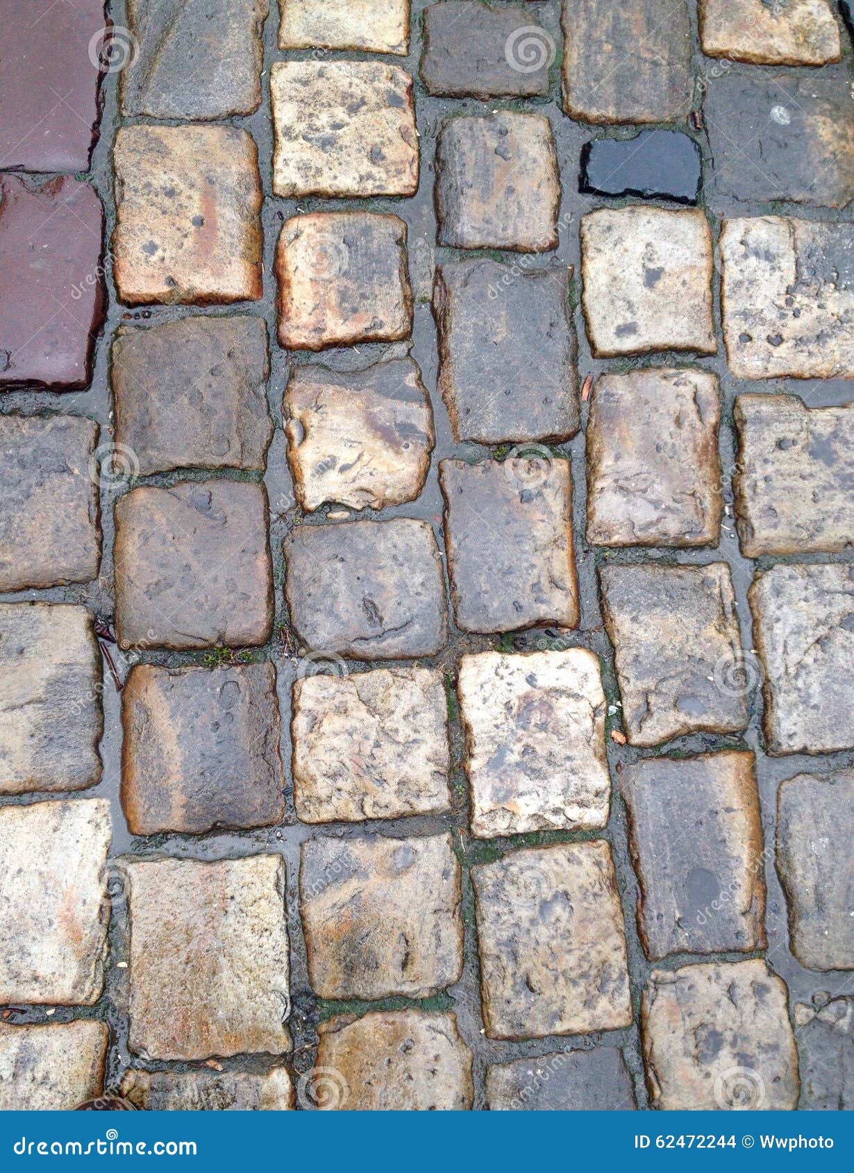 Wet cobblestones stock photo. Image of footpath, outdoors - 62472244