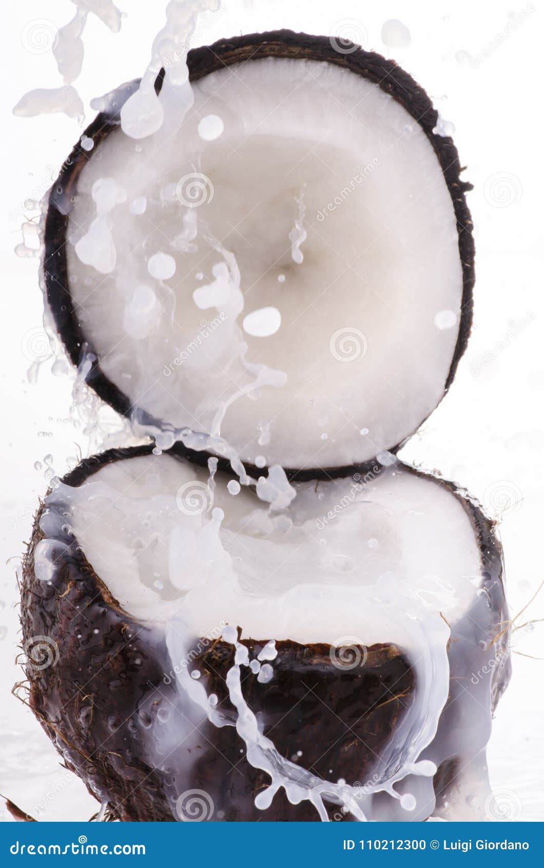 Fresh coconut with splash stock photo. Image of space - 110212300