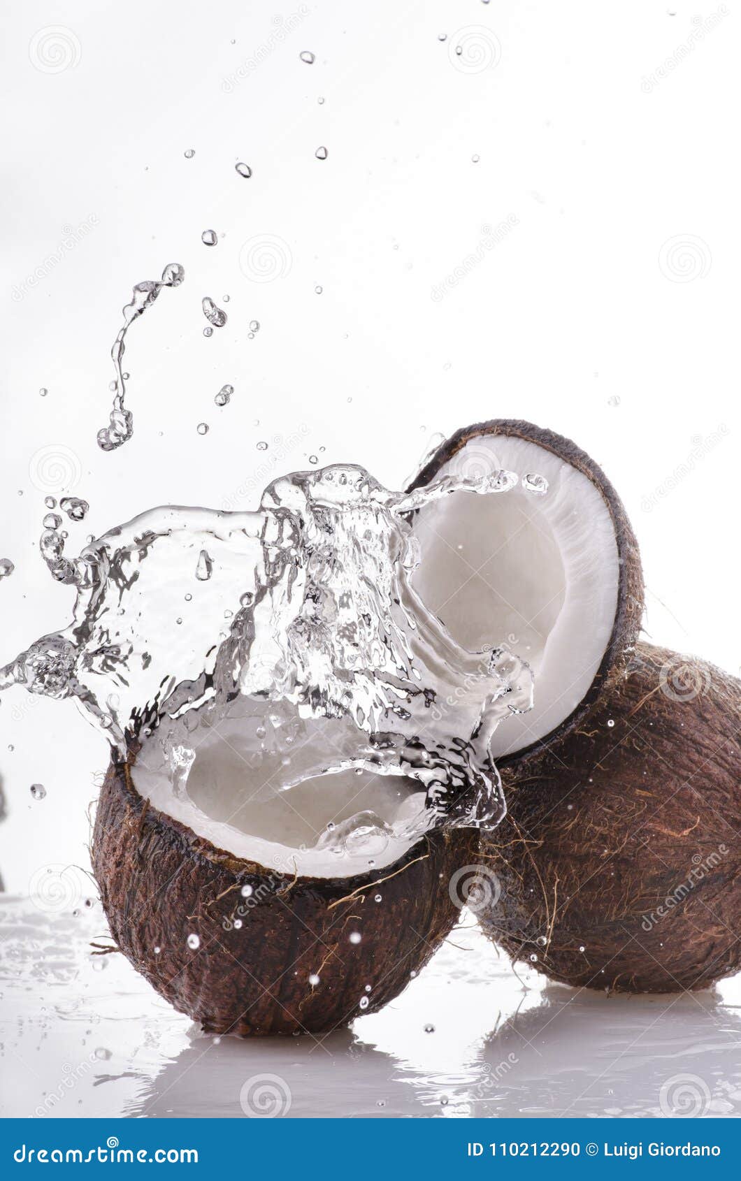 Fresh coconut with splash stock photo. Image of studio - 110212290