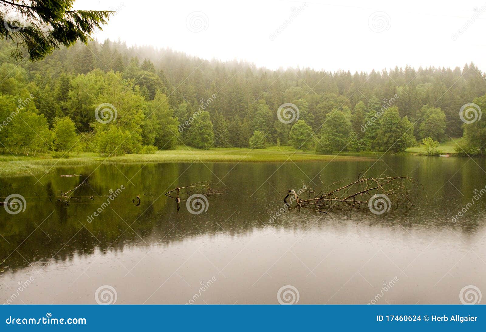 Wet and cold stock photo. Image of water, chapel, green - 17460624
