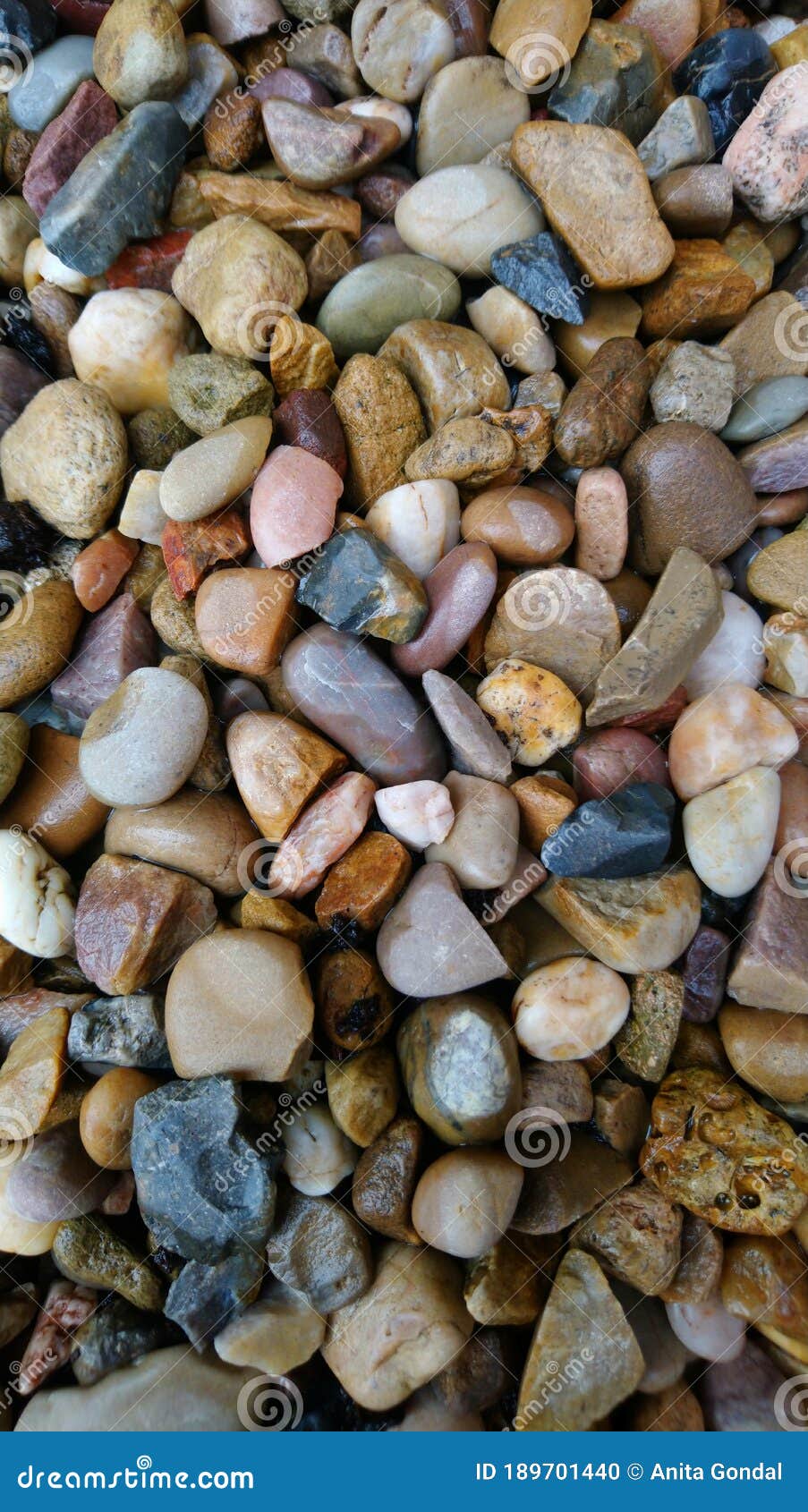 Wet colourful pebbles stock photo. Image of stones, rain - 189701440