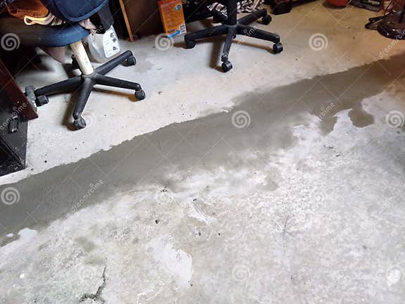 Wet concrete patch stock image. Image of clover, close - 110756121